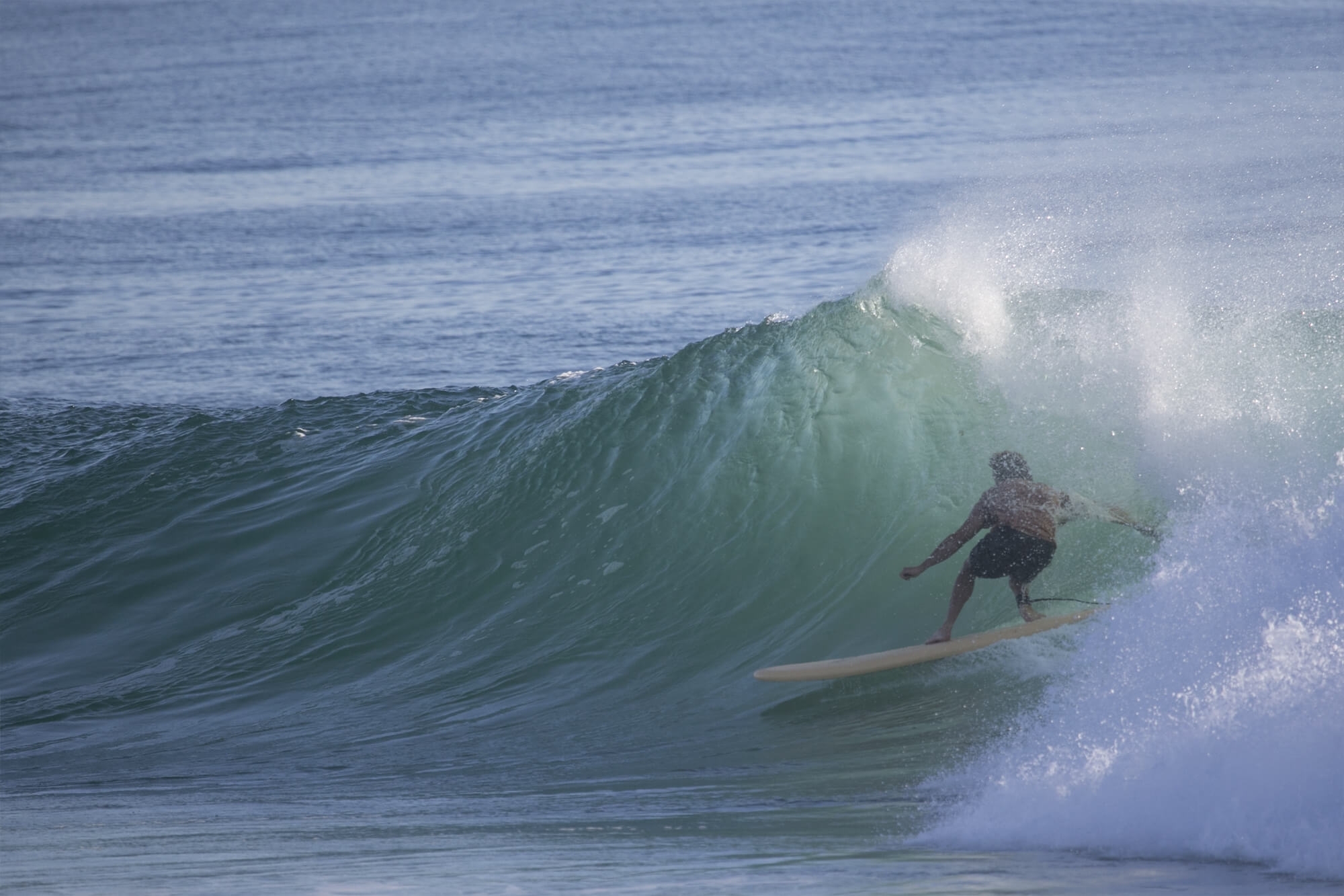 CATCH SURF SURFBOARDS FOR SALE - Free Shipping & Best Price Guarantees ...