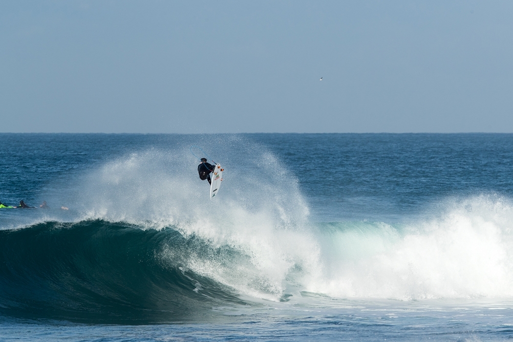 PANDA SURFBOARDS FOR SALE - Free Shipping & Best Price Guarantees ...