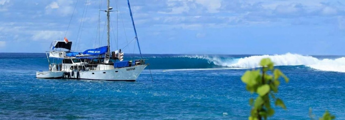 Navistar Surf Charter Boat | Boardcave Australia
